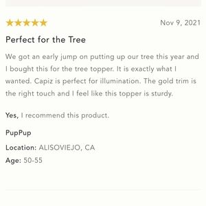 Anthropologie | Holiday | Anthropologie Illuminated Capiz Star Tree ...